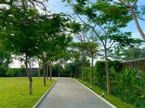 Inspirasi Taman Tropis Ciptakan Suasana Alam Di Rumah Anda Benih Muda
