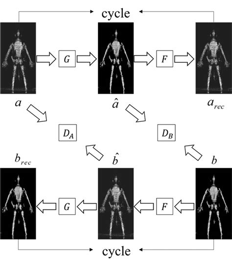 The Schematic Diagram Of The Proposed Mmw Deblurring Cycle Gan Method Download Scientific Diagram