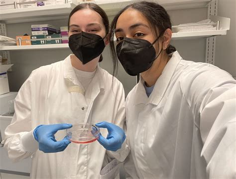 Sergiu P Pasca Sergiuppasca Twitter