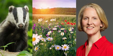 Emma Reynolds Mp Business Lobbyist Now In Charge Of Nature Protect