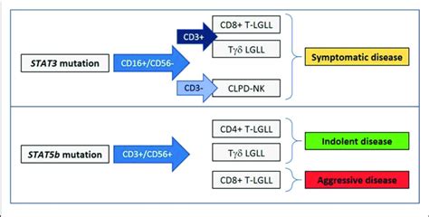 Stat3 And Stat5b Mutations Are Preferentially Found In Phenotypically