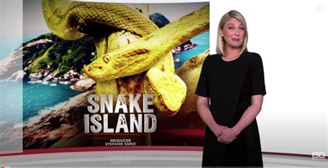 Snake Island A Venomous Paradise