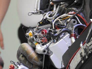F1 Car Cooling Systems Explained