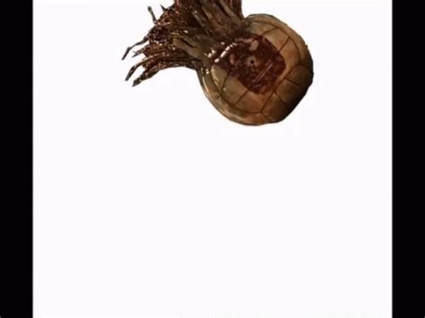Wilson Cast Away Tom Hanks Meme 