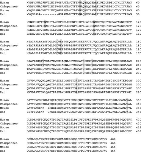 Figure 1 From Animal Cytogenetics And Comparative Mapping Semantic