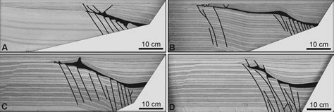 A D Serial Cross Section Showing Relationships Between Different Fault