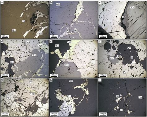 Photomicrographs Of Polished Sections Showing Relationships Of Minerals