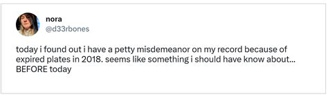 Can You Pass A Background Check With A Misdemeanor