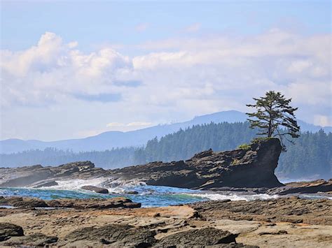 Your Complete Guide To Hiking The West Coast Trail Out And Across
