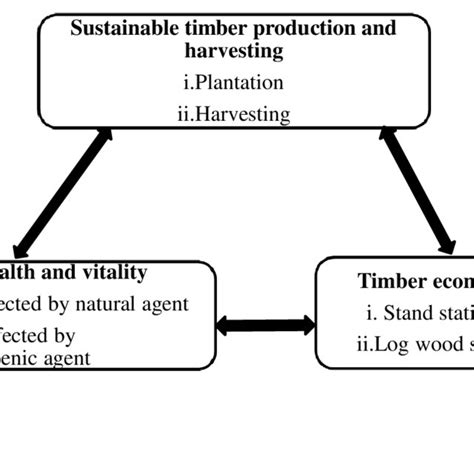 Analytical Network Model Used In This Study Download Scientific Diagram