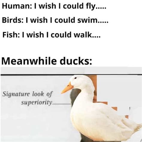 28 Evolution Memes That Just Get Better And Better With Time