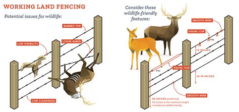 Wildlife Friendly Fences
