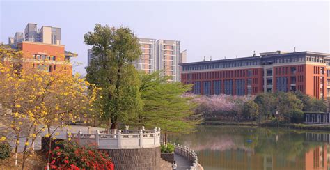 广医风光 广州医科大学