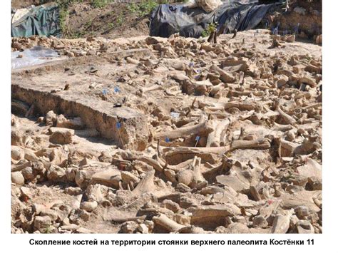 Палеолит презентация онлайн