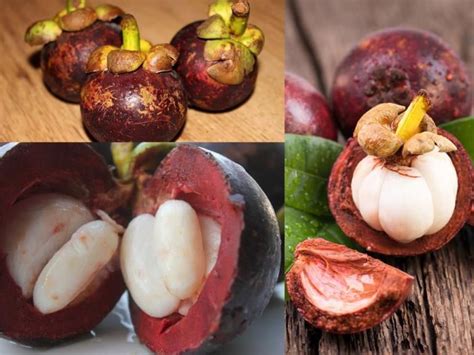 Самый вкусный в мире фрукт | Лепота Мира | Национальная еда, Фрукты, Овощи