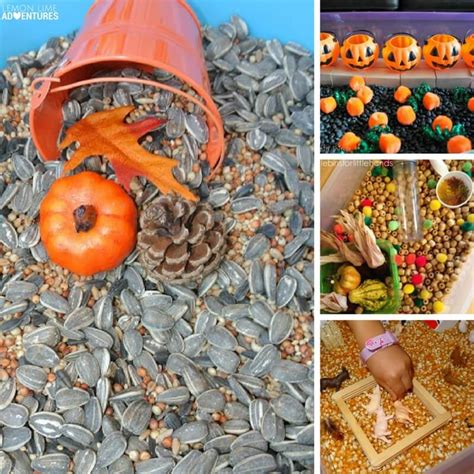 Fall Sensory Bin Ideas For Preschool At Judy Moore Blog
