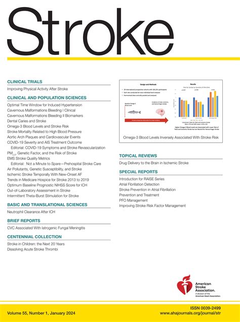 Not A Minute To Spare Balancing Accuracy And Efficiency In Prehospital Stroke Management Stroke