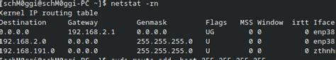 Lan Game Server Not Visible Through Zerotier Local Lan Works Linux