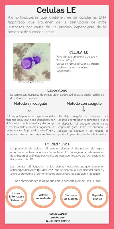 Celulas Le Genially