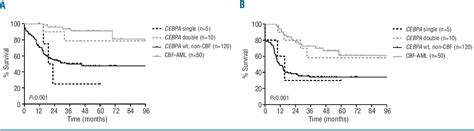 Figure 1 From Characterization Of Cebpa Mutations And Promoter