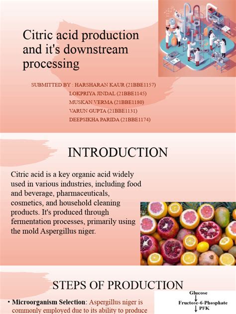 Citric Acid Production And Its Downstream Processing Pdf Acid Chemical Compounds