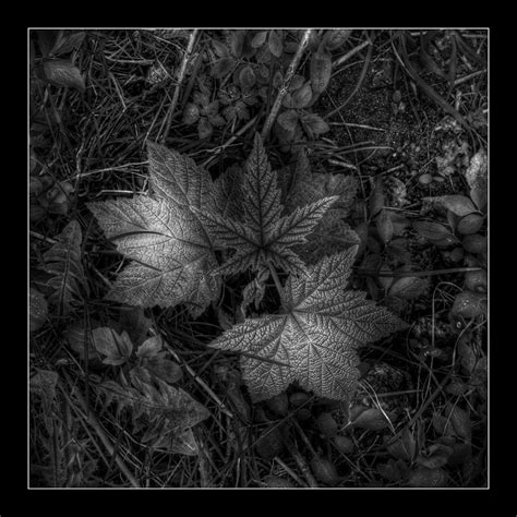 Demeaning Meaning Smithsonian Photo Contest Smithsonian Magazine