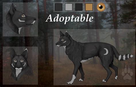 Wolf Adopt 2 Close By Axiwolf01 On Deviantart
