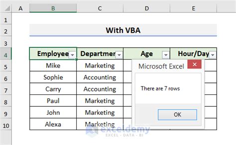 How To Count Filtered Rows In Excel With Vba Step By Step Guide