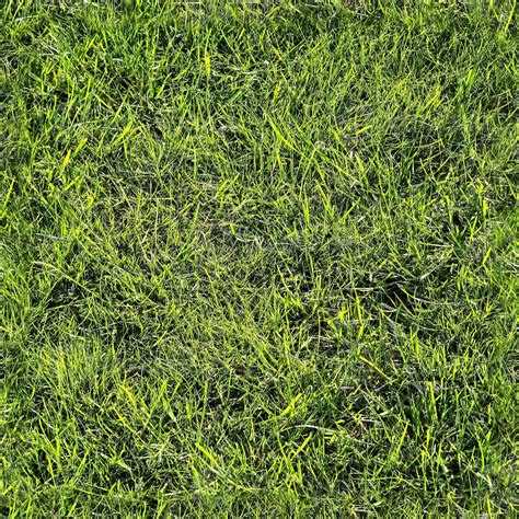 Photo Realistic Seamless Grass Texture In Hires With More Than 6