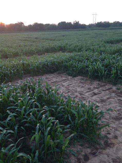 Sunshine Shellys Pumpkin Patch Shawnee Ok