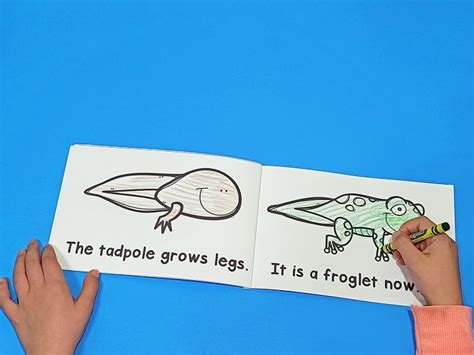 Frog Life Cycle Printable Book Printable Frog Life Cycle Craft The