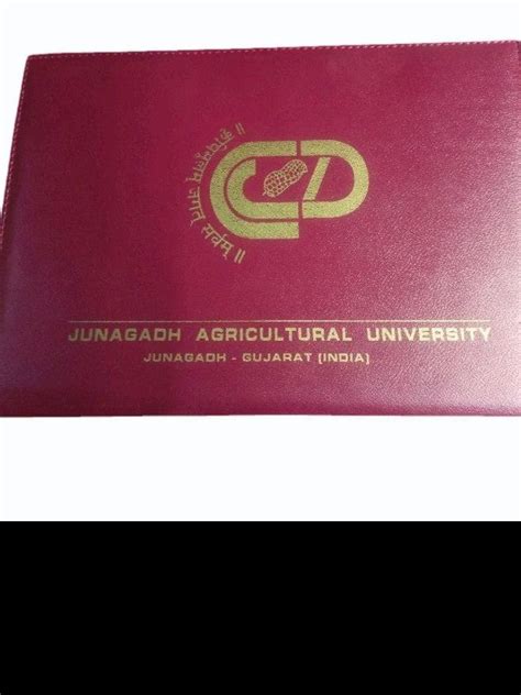 Cardboard Certificate File Folder A4 At Best Price In New Delhi Id 2852594417097