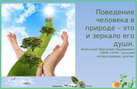 Цитаты о природе