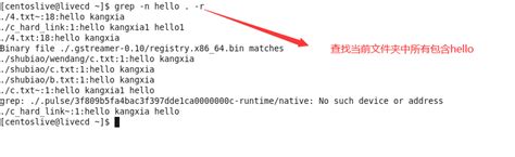 Linux基础命令more 管道 grep find 不坑的康同学 博客园 Linux基础命令more 管道 grep find 不坑的康同学 博客园