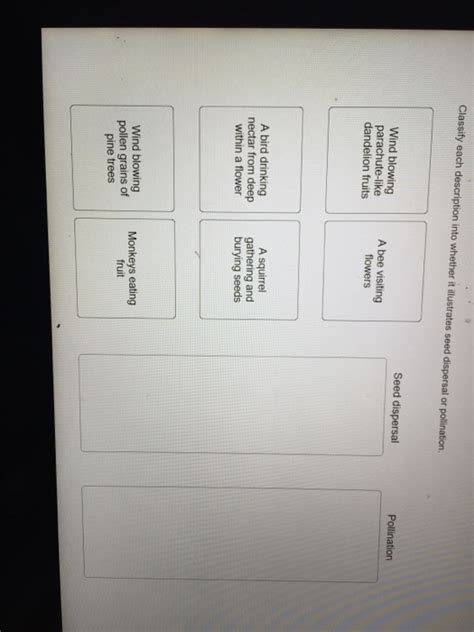 solved classify each description into whether it seed