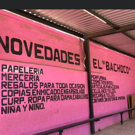 Novedades La Bachoco