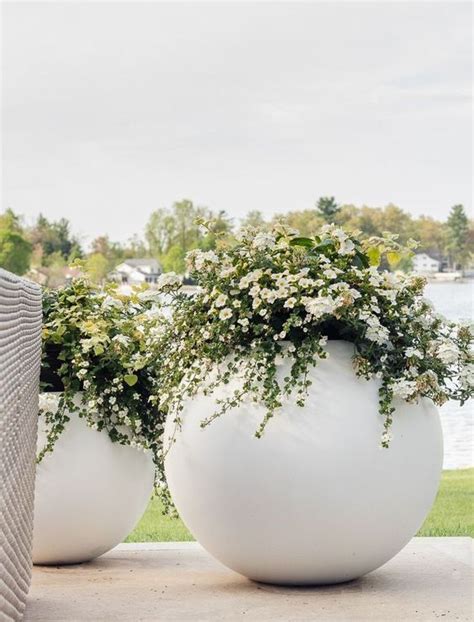 Hydrangea Flower Bed Designs