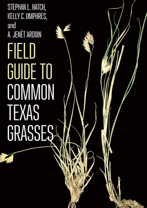 Field Guide To Common Texas Grasses Native American Seed