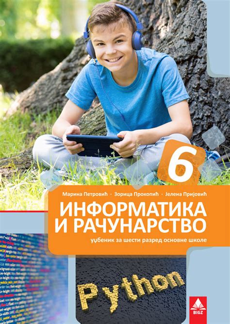 Informatika I Računarstvo 6 Udžbenik Bigz