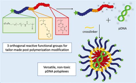 Versatile Multifunctional Block Copolymers For The Self Assembly Of