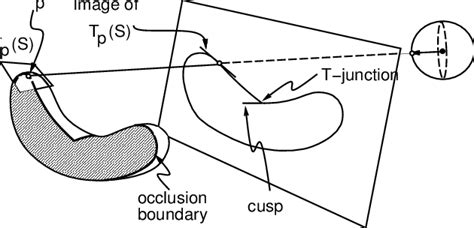 the occluding contour each point p on the occlusion boundary projects