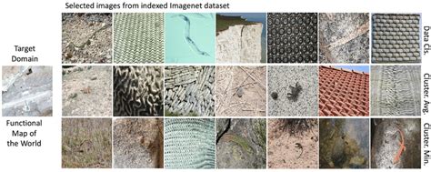 High Scoring Imagenet Samples Selected By All Our Conditional Filtering Download Scientific