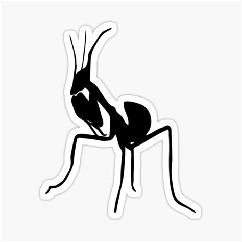 Ghost Nymph Phyllocrania Paradoxa Sticker For Sale By