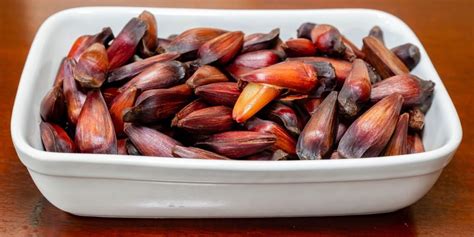 Pinhão Tradição E Cuidado Na Gastronomia Do Sul Correio Braziliense