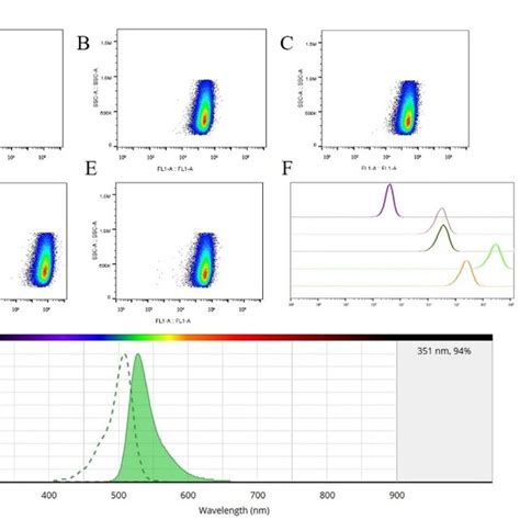 The Ros Level Detected By Flow Cytometer Analysis A Bmecs B