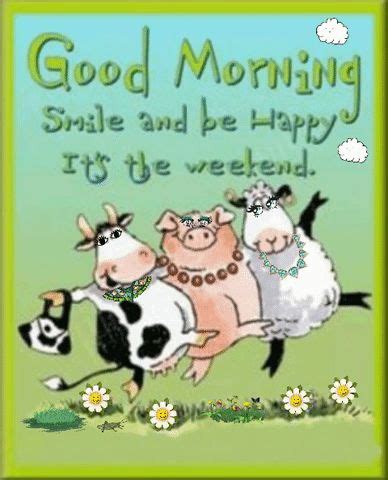  Cow Pig Sheep Weekend Good Daisy Morning  Find And Share On
