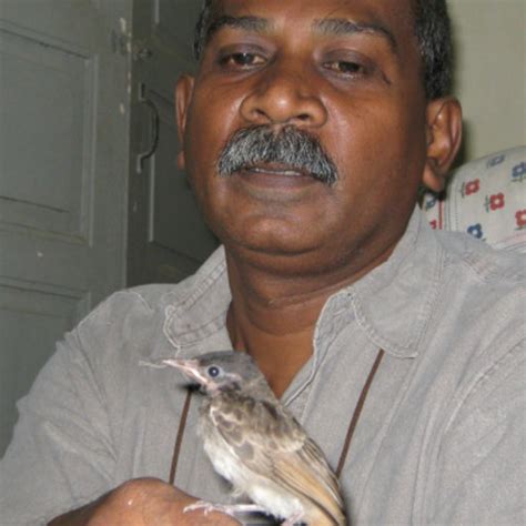 R Daniels Doctor Of Philosophy Care Earth Research Profile