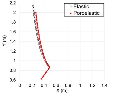 Propagation Trajectories Of The Elastic And Poroelastic Case Download Scientific Diagram