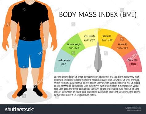 Bmi Body Mass Index Infographic Chartvector Vetor Stock Livre De