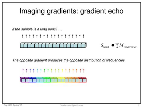 Ppt Gradient And Spin Echoes In Imaging Powerpoint Presentation Free Download Id9318193
